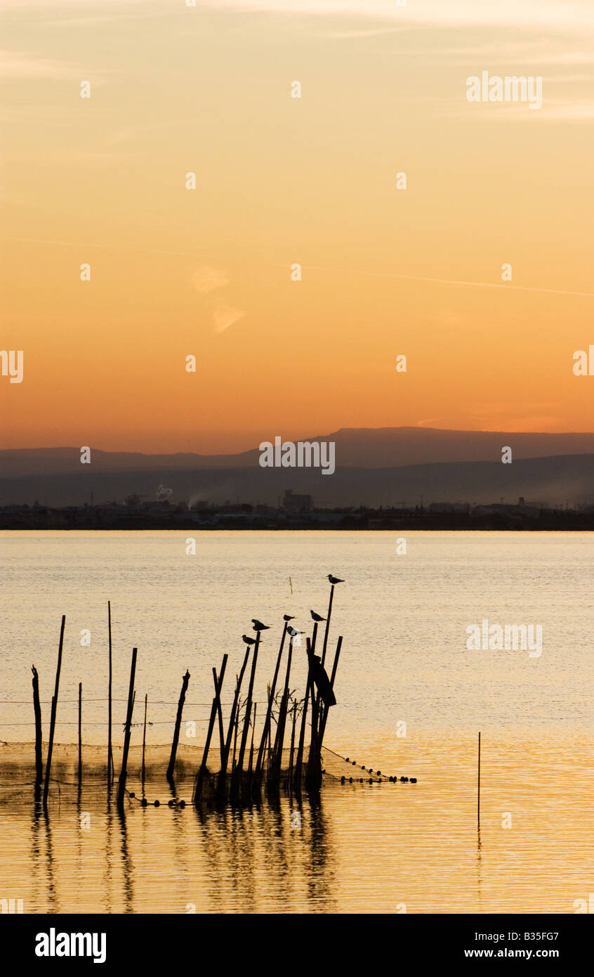 Lake albufera scene hi-res stock photography and images - Alamy