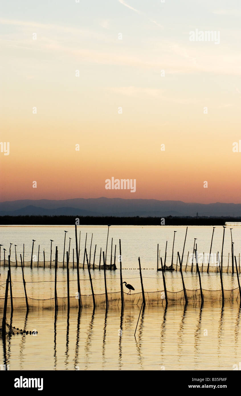 Lake albufera scene hi-res stock photography and images - Alamy