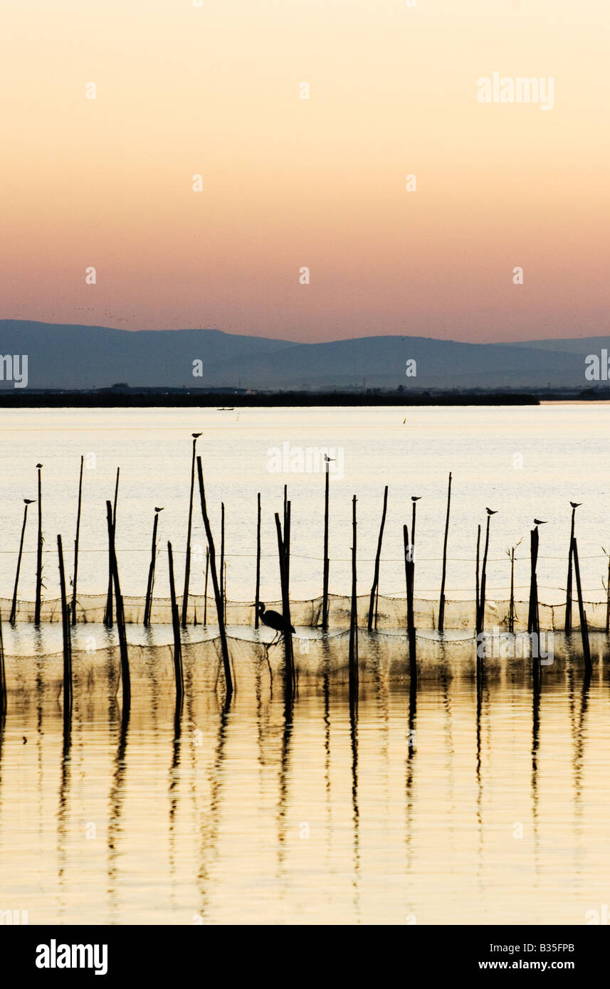 Lake albufera scene hi-res stock photography and images - Alamy