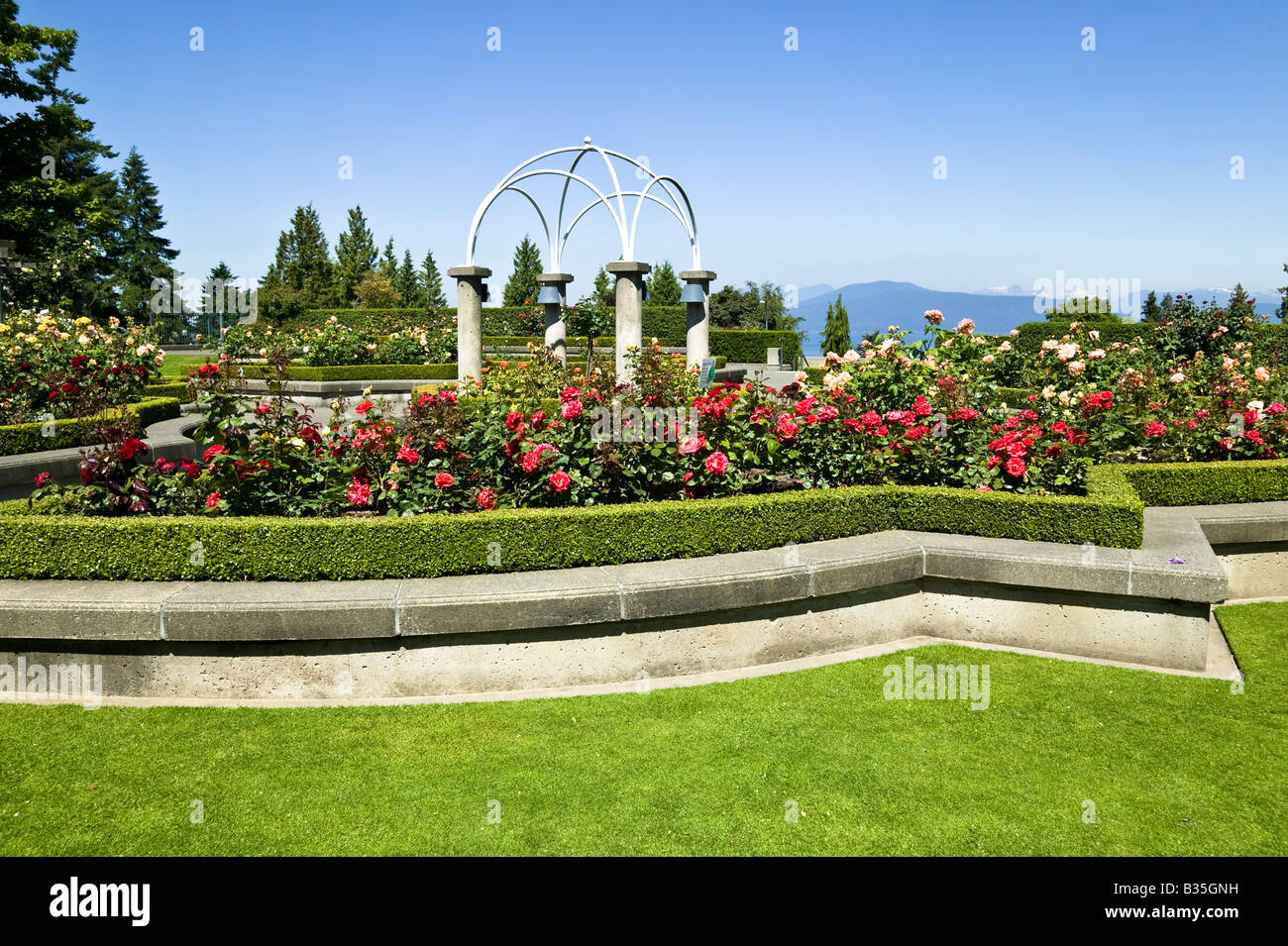 UBC Rose Garden Vancouver BC Canada Stock Photo - Alamy