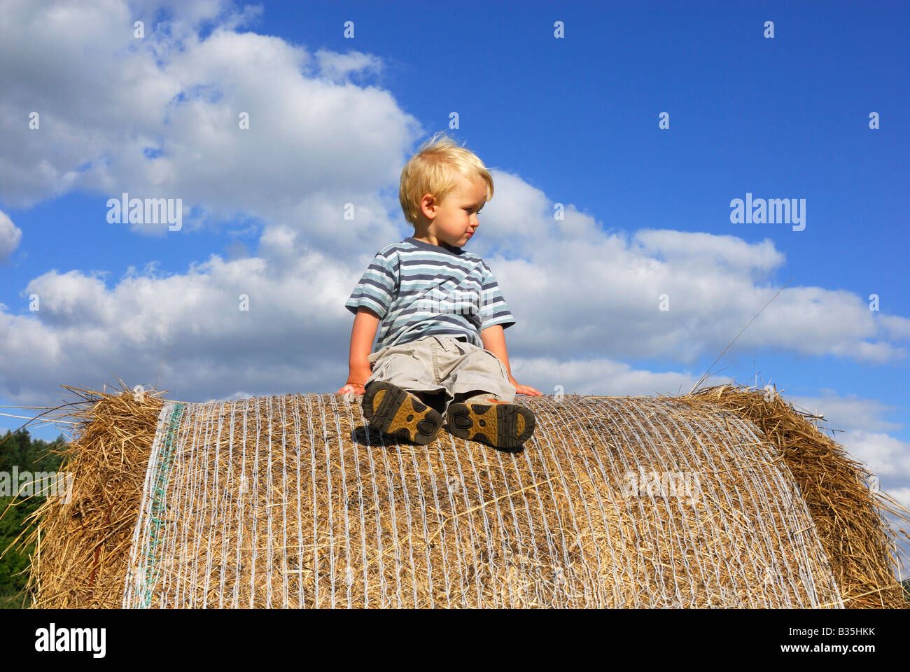 2 3 years old child blonde boy sitting on hay bale Stock Photo - Alamy