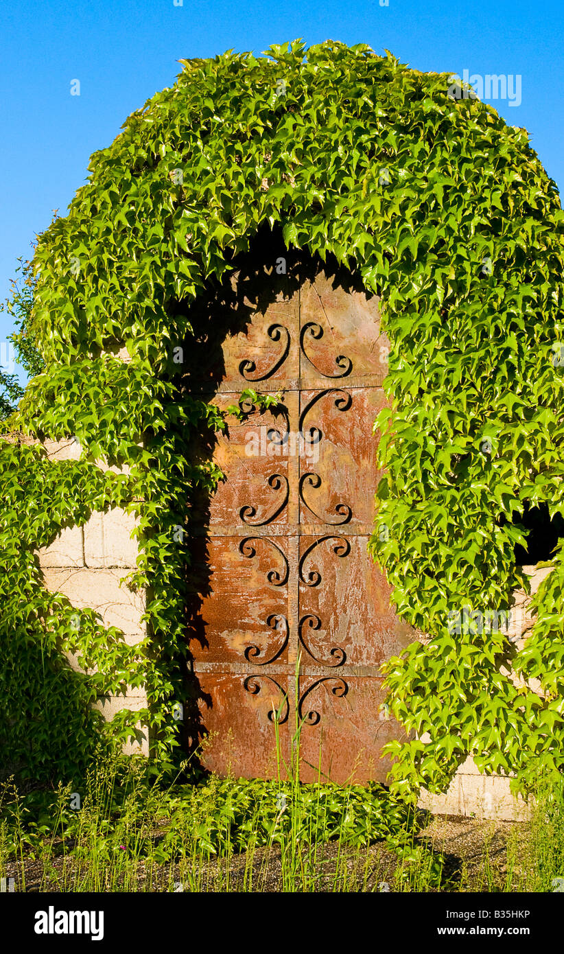 Vine door hi-res stock photography and images - Alamy