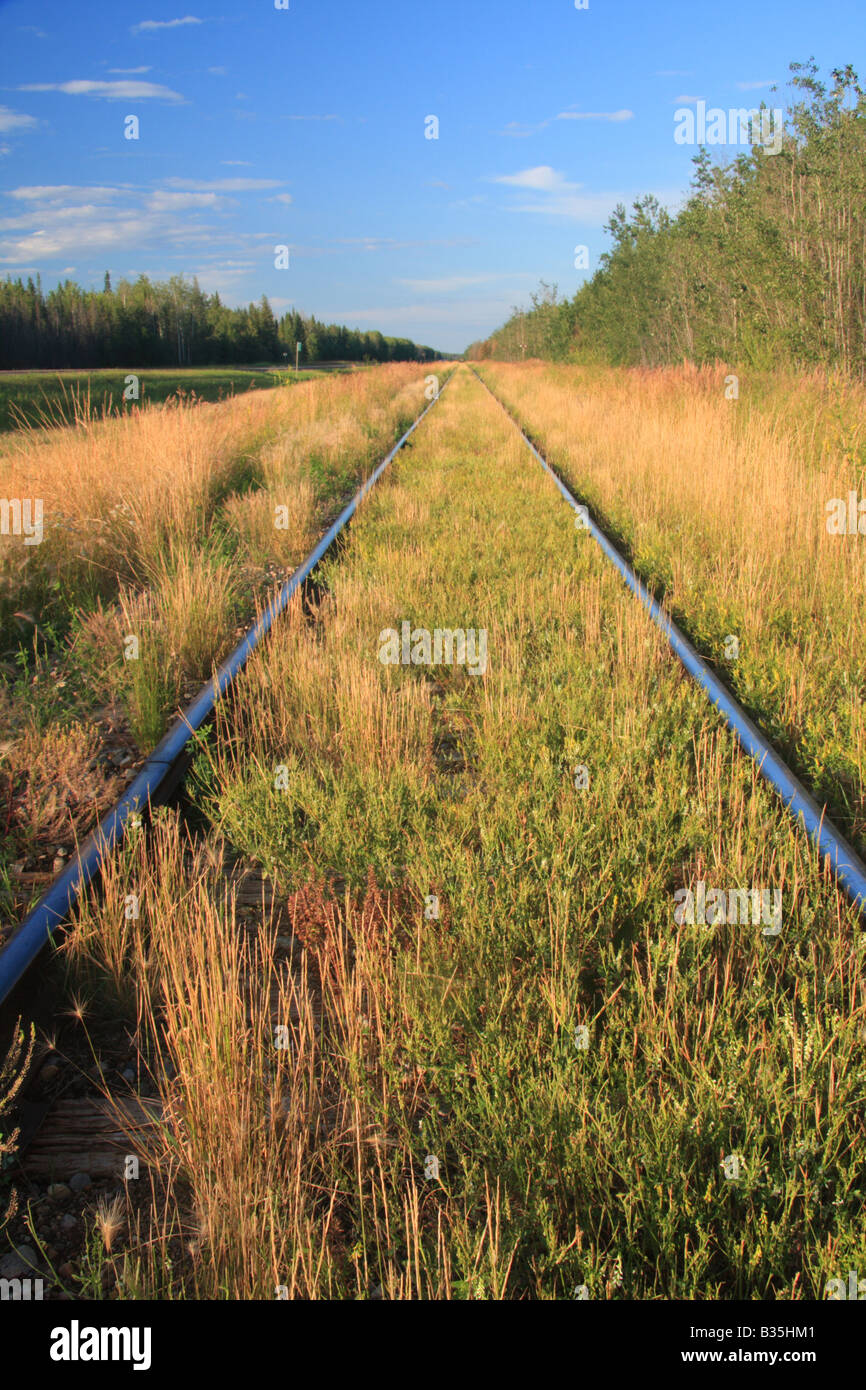 Line of rails in High Level area, Alberta Stock Photo - Alamy