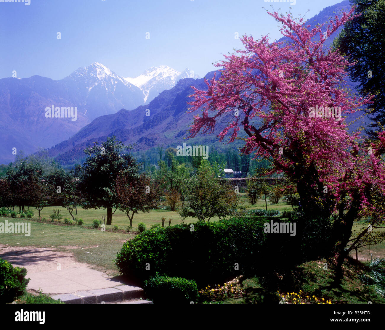 Shalimar bagh srinagar hi-res stock photography and images - Alamy