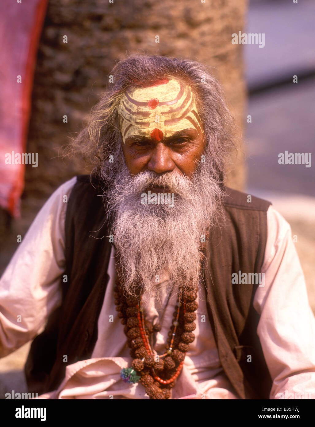 Nepal - Indian Sadhu, a Hindu Holy Man Stock Photo - Alamy