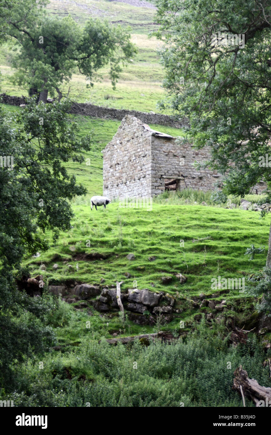 Old derelict barn hi-res stock photography and images - Alamy