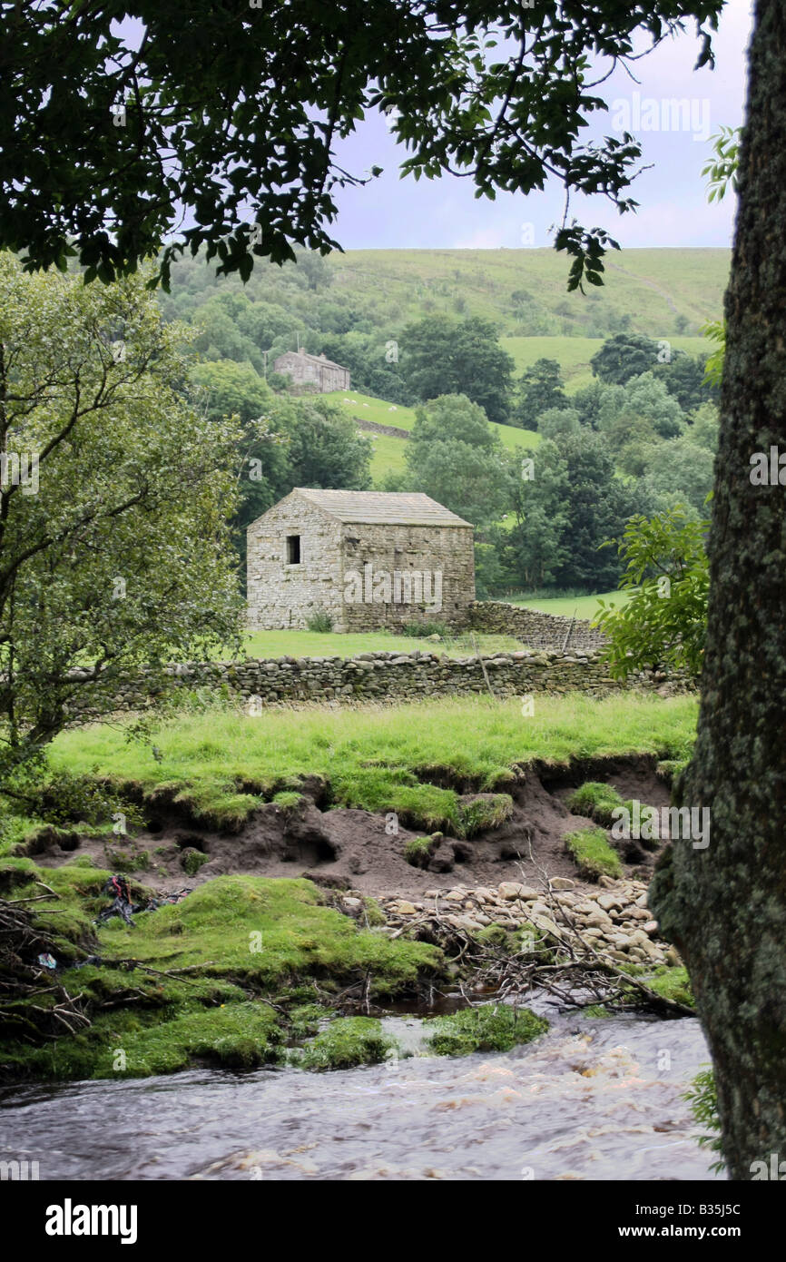 Old Field Barn, Upper Swaledale Stock Photo - Alamy