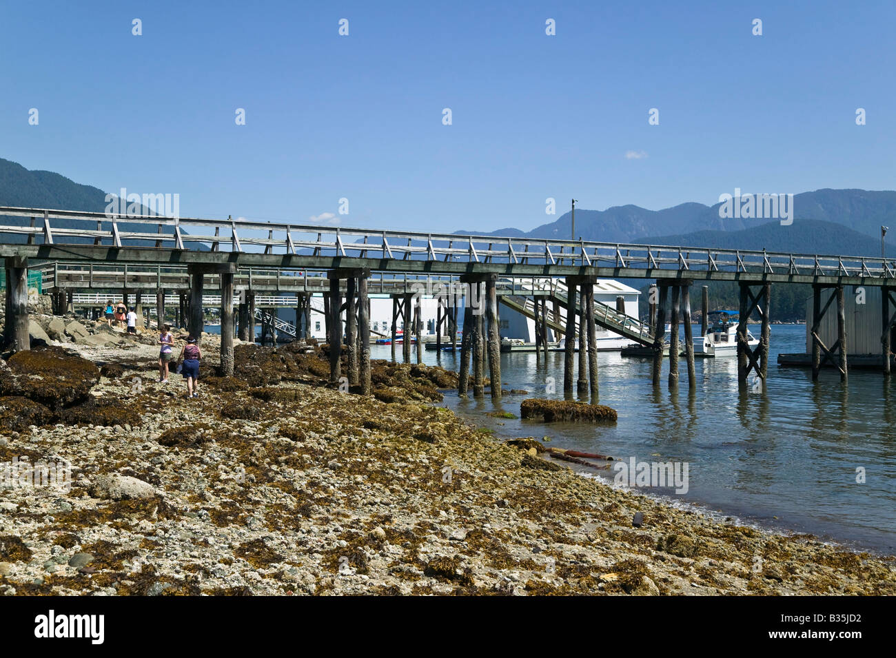 Cates Park shoreline North Vancouver BC Canada Stock Photo - Alamy