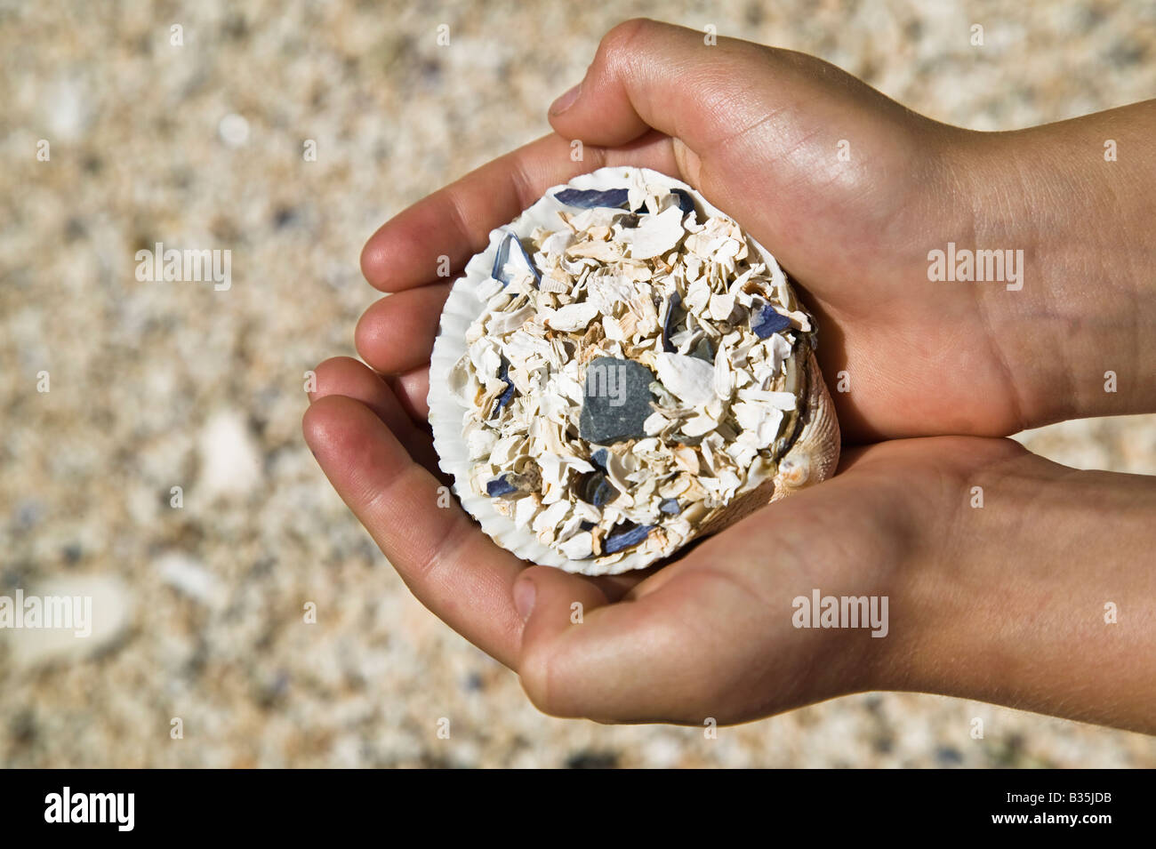 Girl holding broken shell sand Stock Photo - Alamy