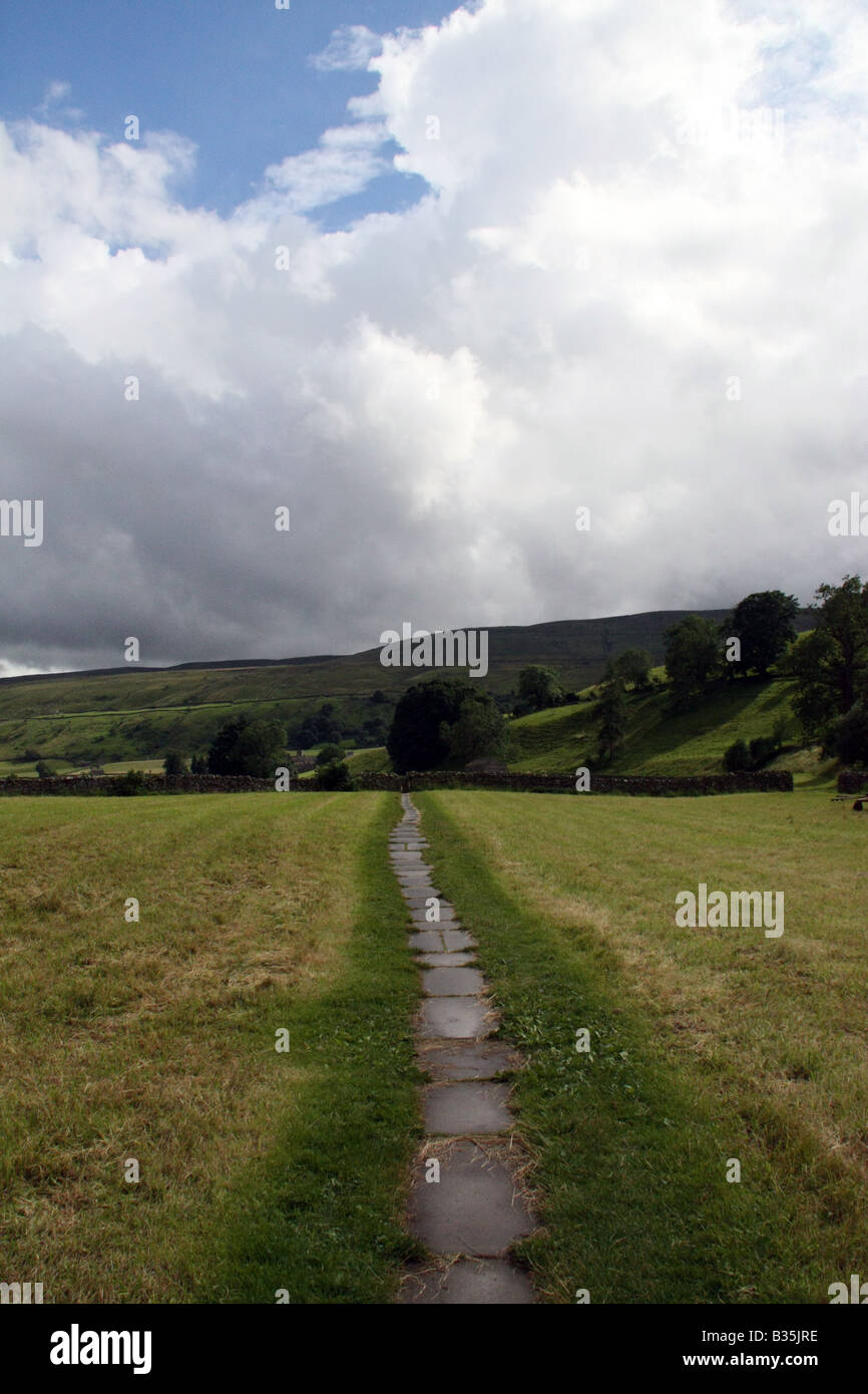 Footpath from Muker to Keld leading through hay meadow, Upper Swaledale ...
