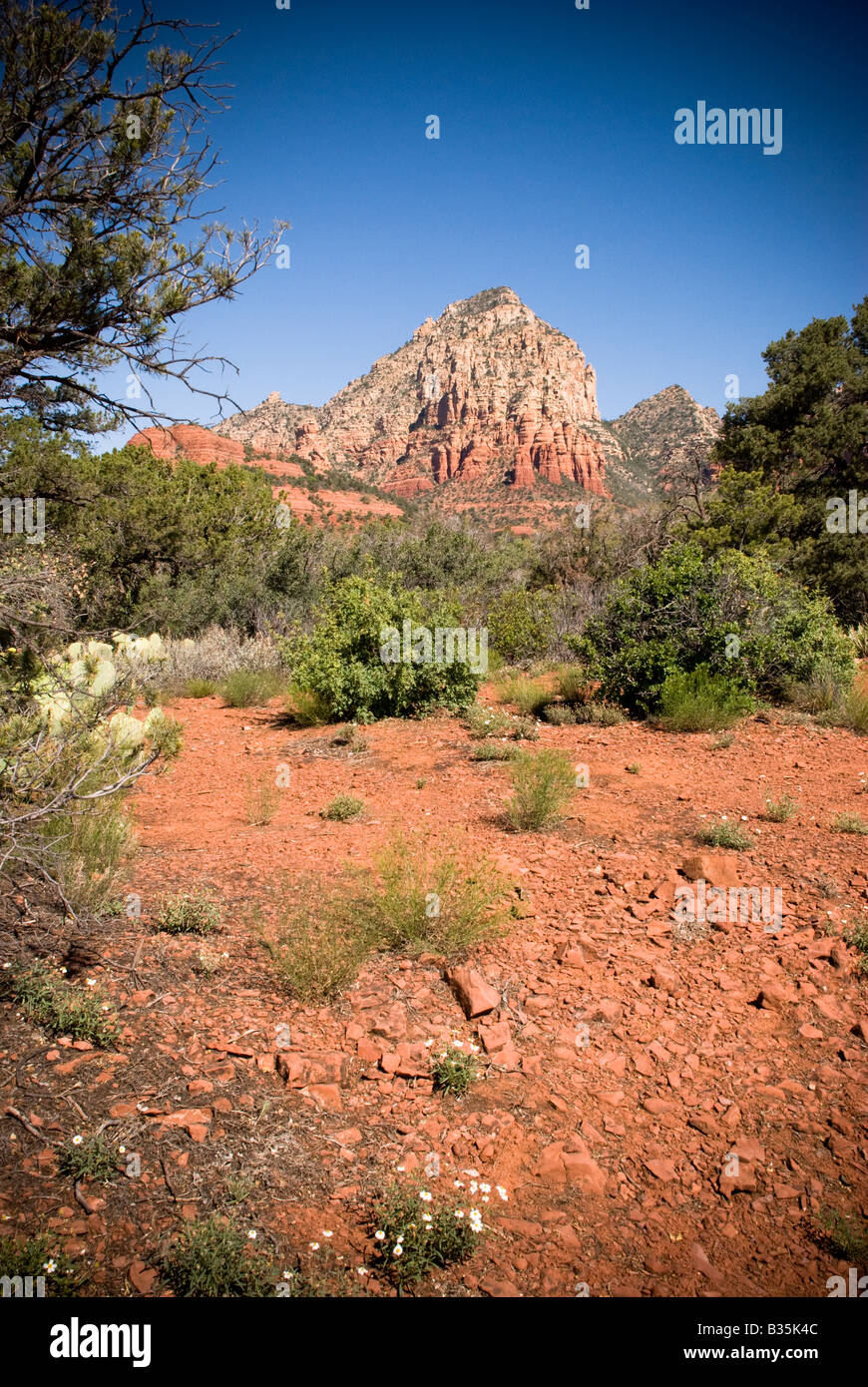 Rugged trail hiking wild west wilderness hi-res stock photography and ...