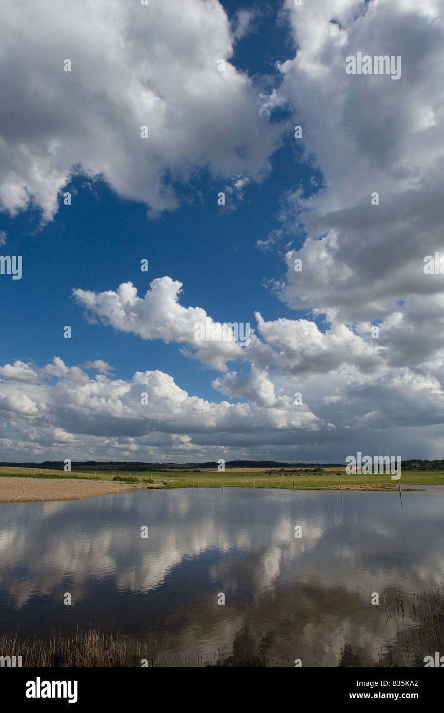 Coastal sssi nature reserve hi-res stock photography and images - Alamy