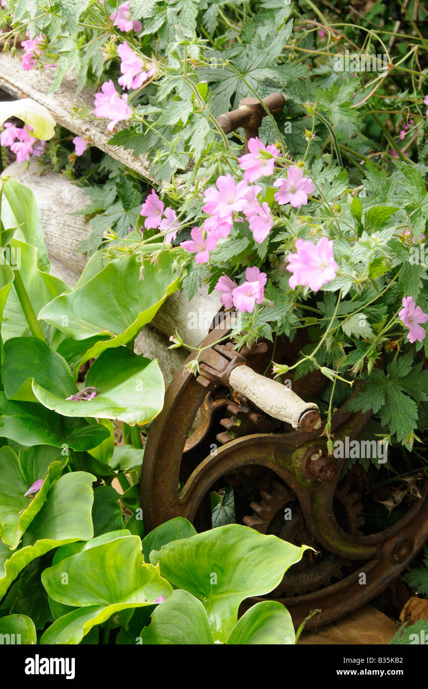 Old mangle hi-res stock photography and images - Alamy