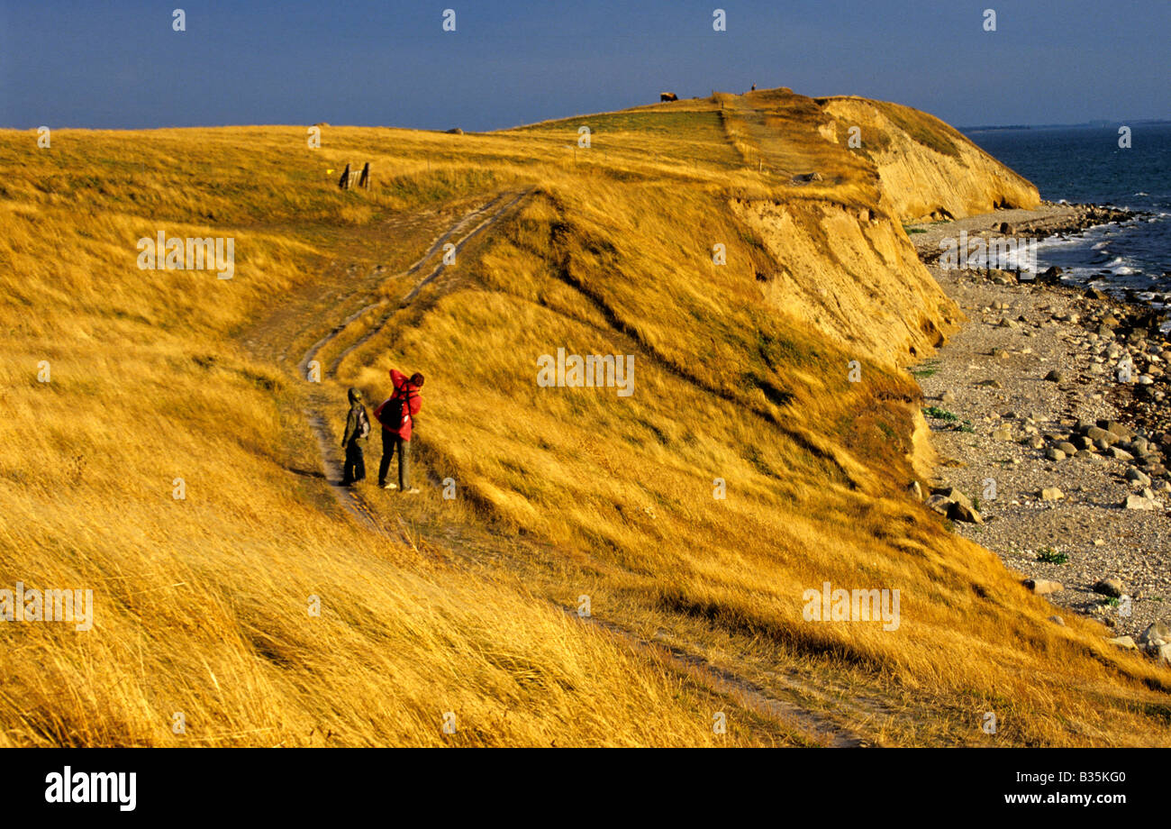 Denmark Fyns Hoved Hindsholm sea cliff sea coast tourists Stock Photo ...