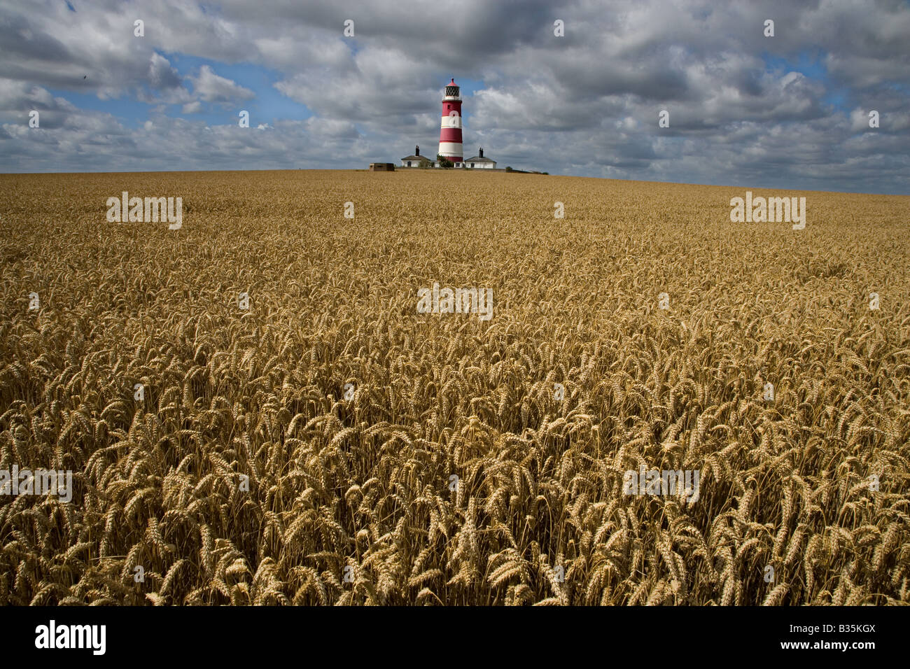 Uk farmland crops hi-res stock photography and images - Alamy