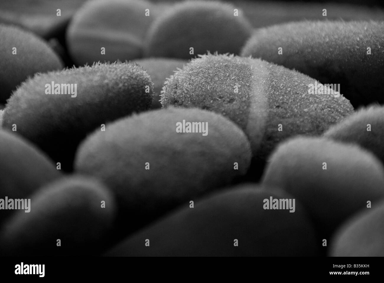 Ice pebbles Black and White Stock Photos & Images - Alamy