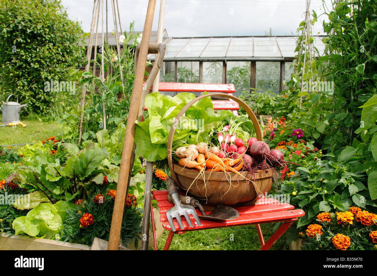 Trug vegetables hi-res stock photography and images - Alamy