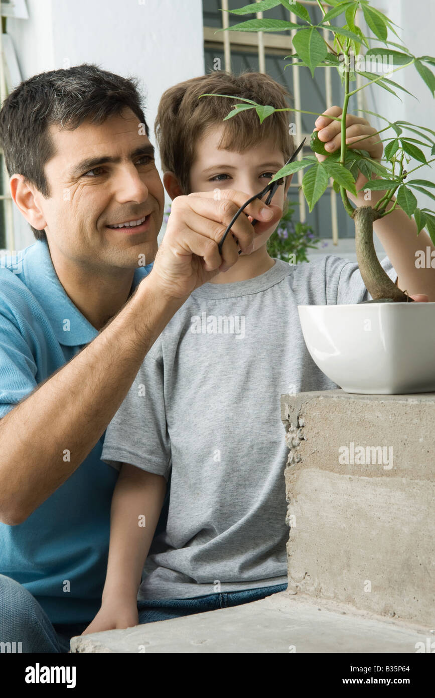 Father and son pruning plant together, smiling Stock Photo - Alamy