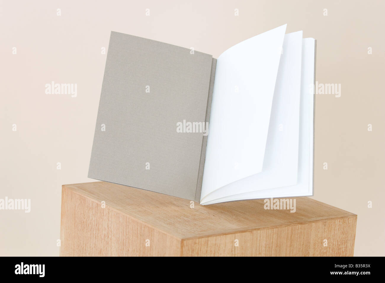 Open book balancing on pedestal, blank pages, close-up Stock Photo - Alamy