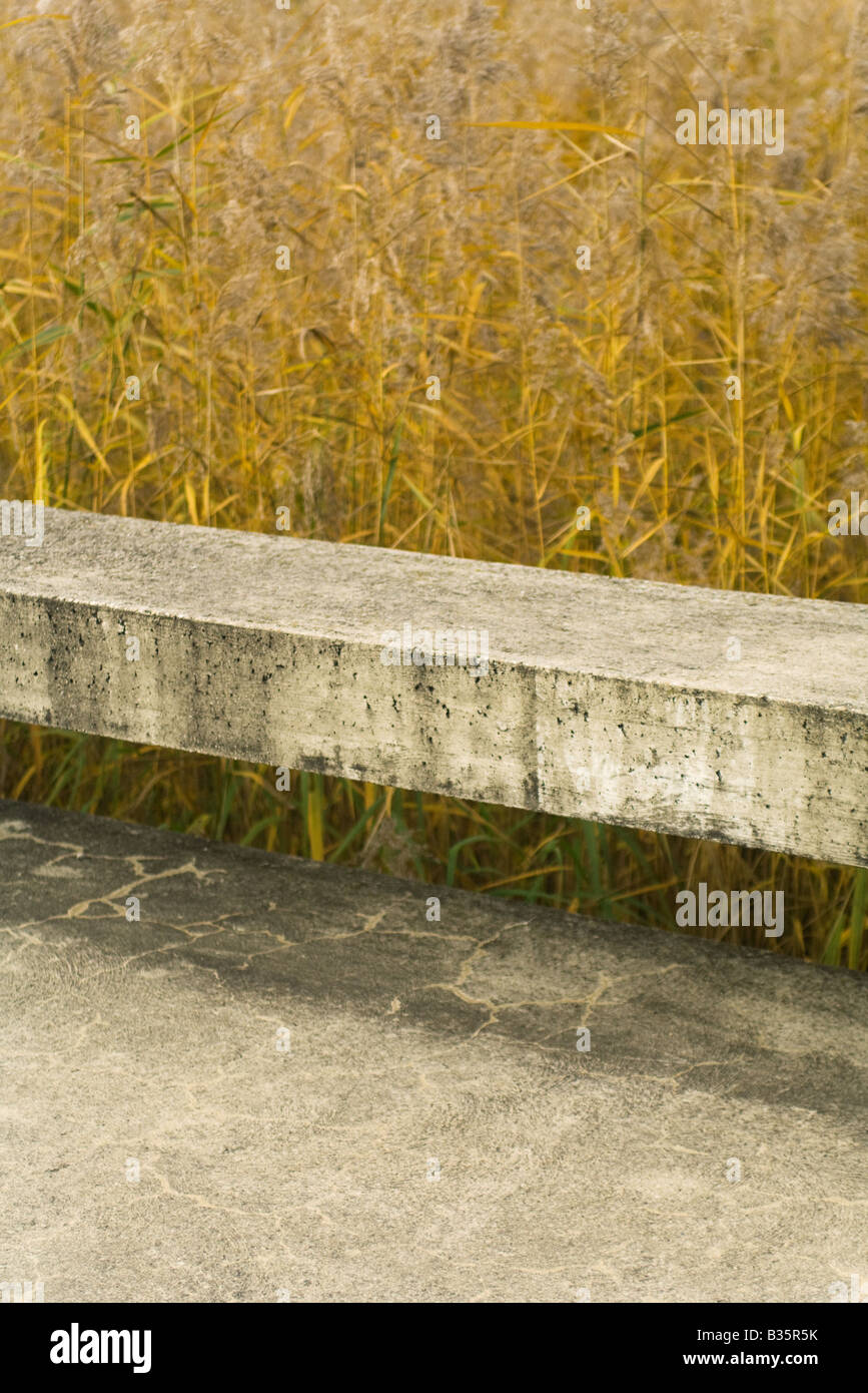 Cement guard rail, field of tall grass in background Stock Photo - Alamy