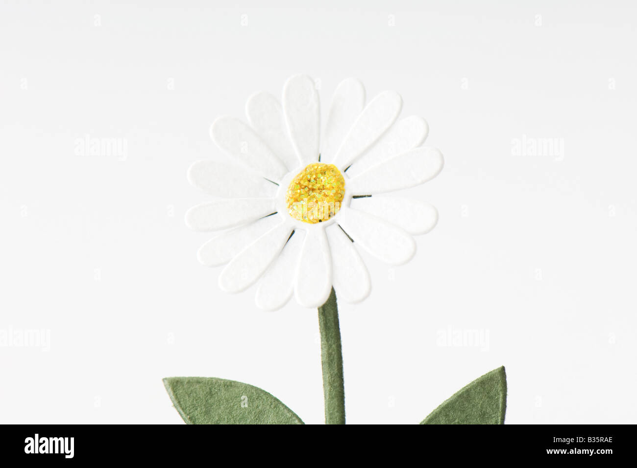 Craft daisy, close-up Stock Photo - Alamy