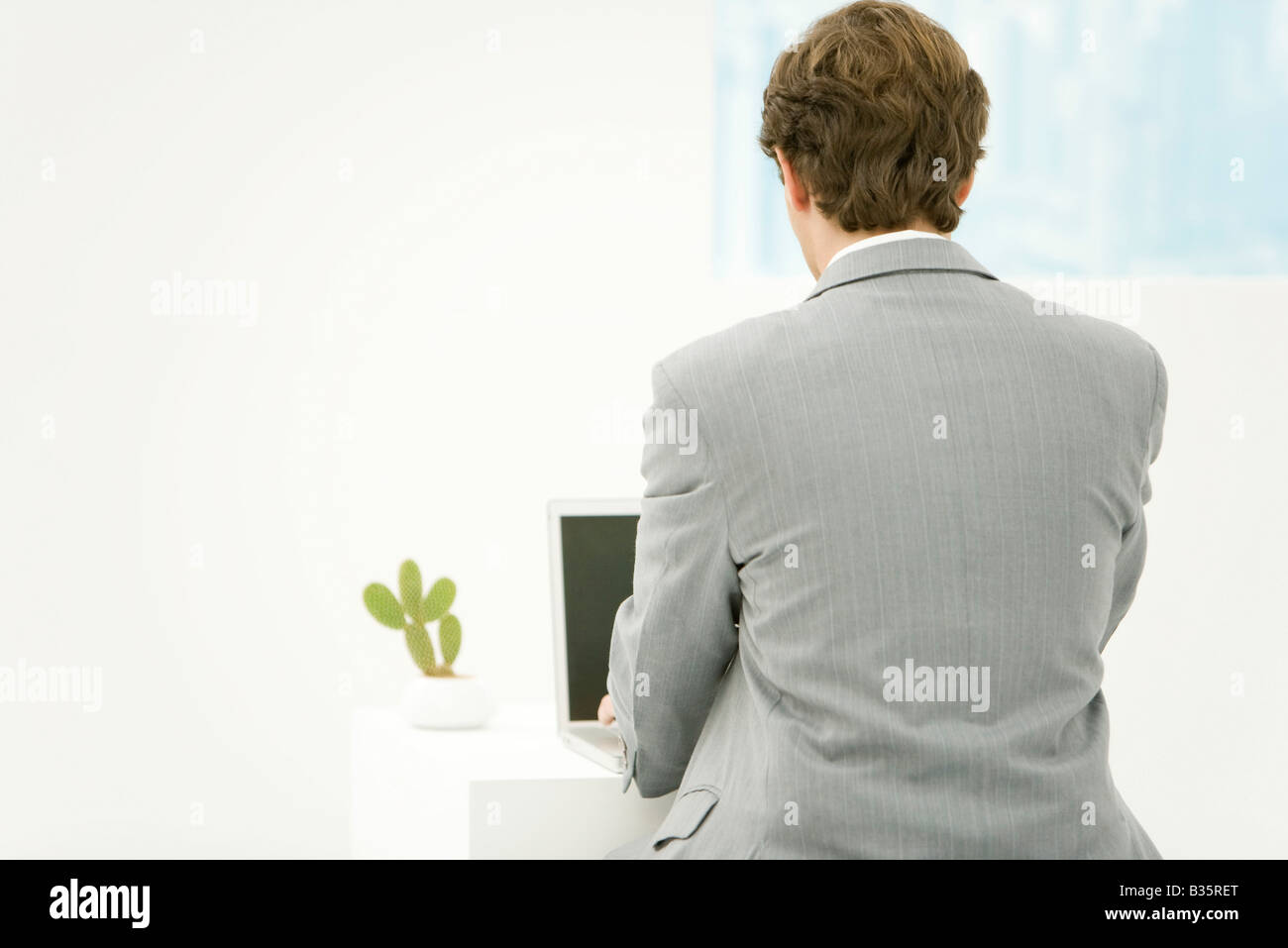 Businessman using laptop, rear view Stock Photo - Alamy