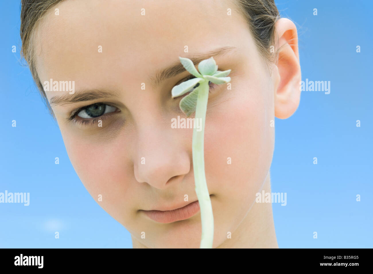 Succulents with long stems hi-res stock photography and images - Alamy
