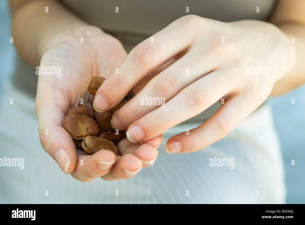 Handful of dry broad beans, other hand picking up one bean Stock Photo ...