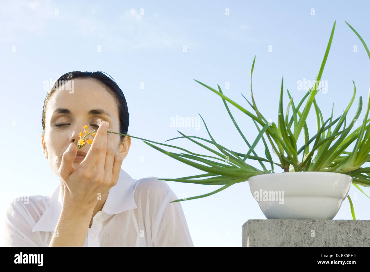 Woman smelling flower from potted plant, low angle view Stock Photo - Alamy