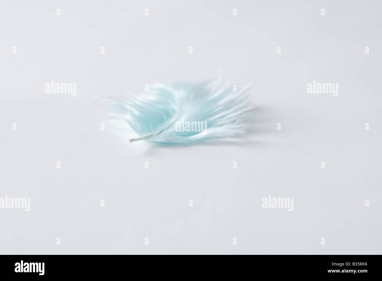 Pale blue feather, close up Stock Photo - Alamy