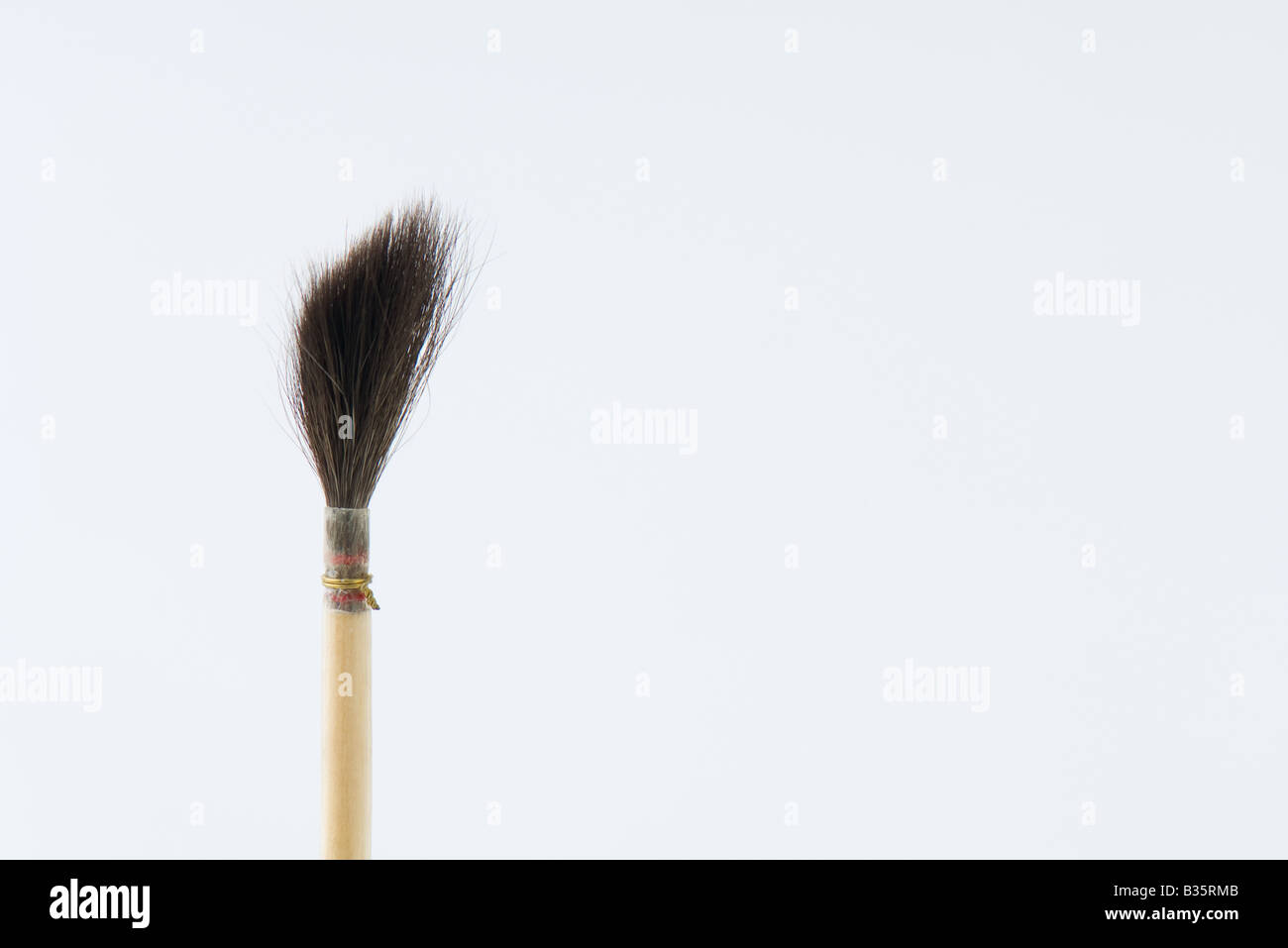 Artist's paintbrush, close-up Stock Photo - Alamy