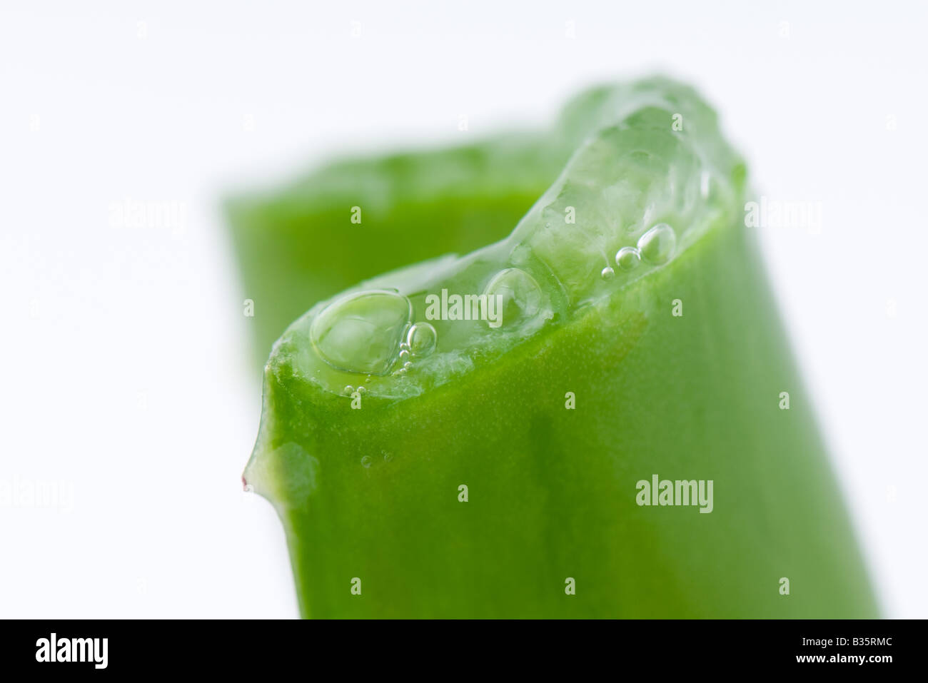 Aloe vera leaf and gel, close-up Stock Photo - Alamy
