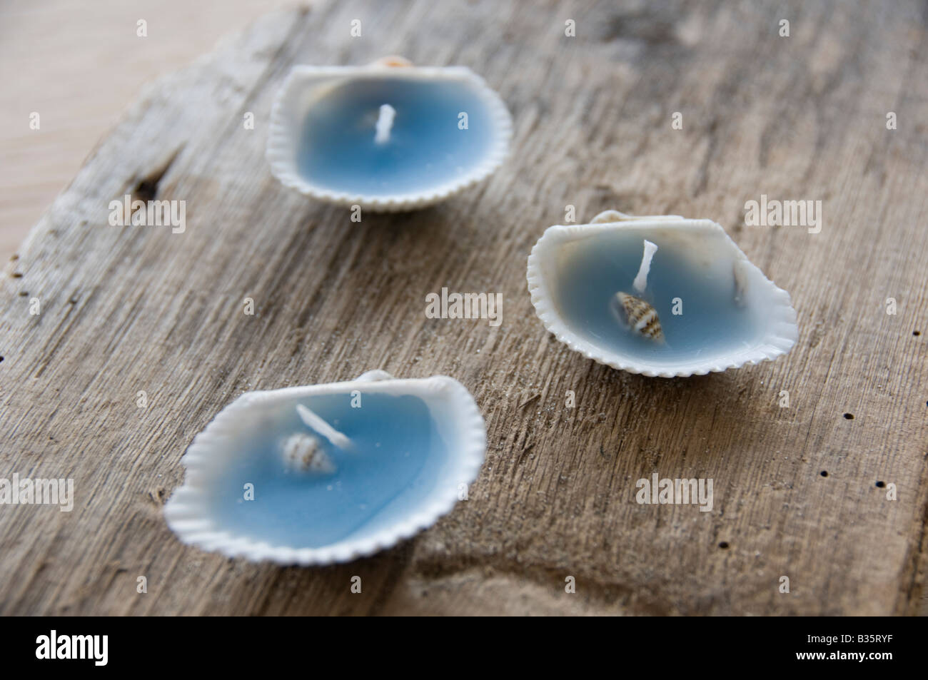 Tiny shell candles on a driftwood background Stock Photo - Alamy