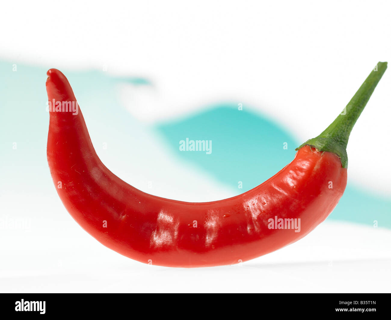 One Chilli Pepper Stock Photo - Alamy