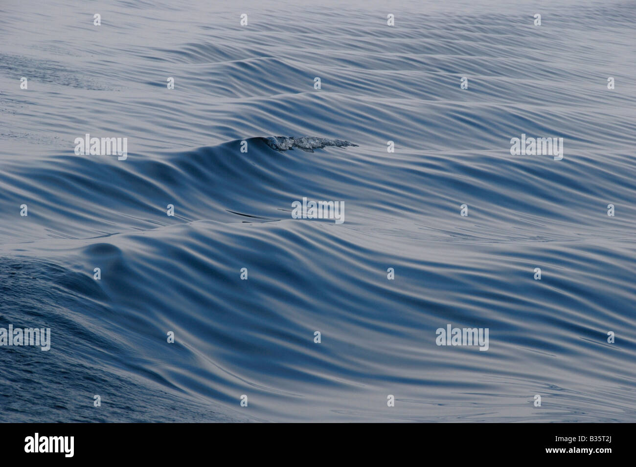 Wave behind ferry Faroe Islands Stock Photo - Alamy