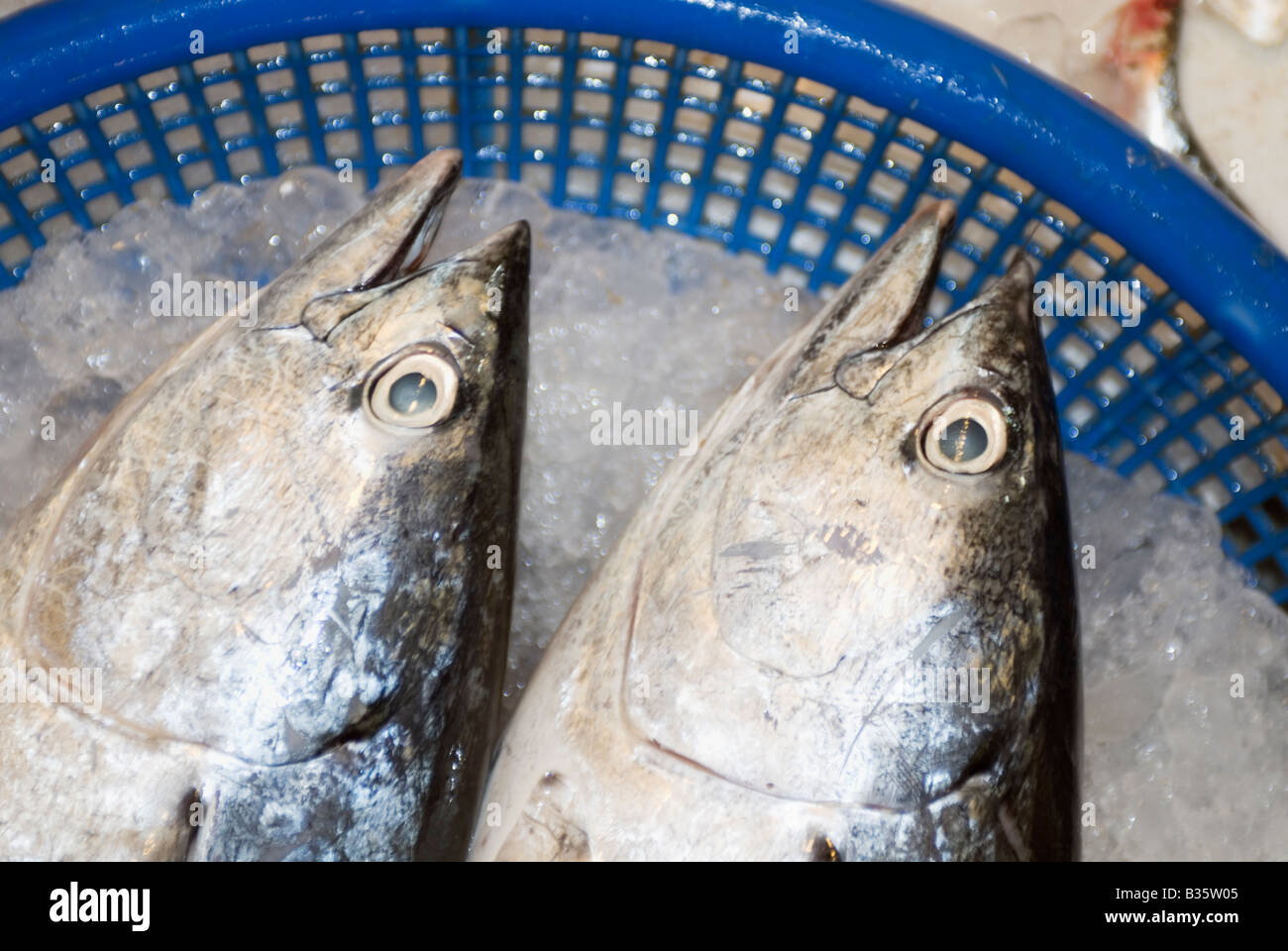 China, fish eye hi-res stock photography and images - Alamy