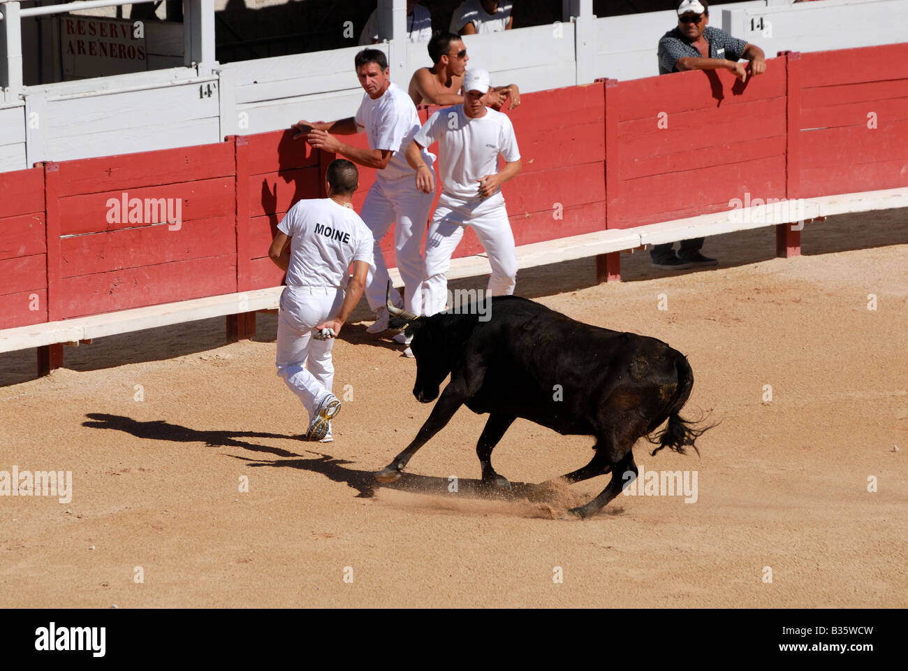 Chasing the bull in the Roman Arena at Arles, France Stock Photo - Alamy
