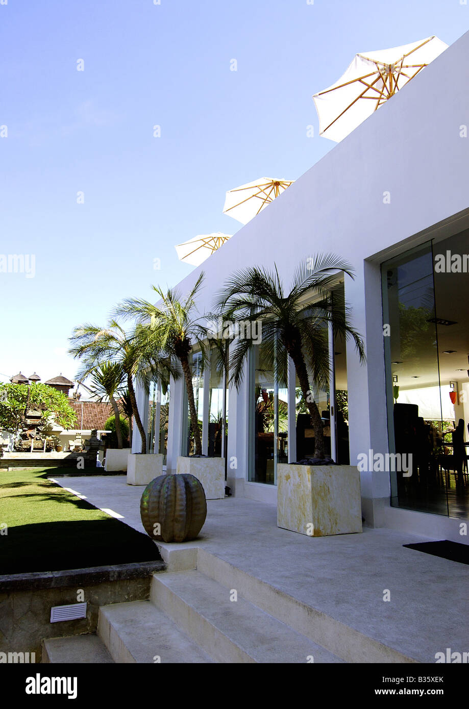 Palm trees in front of a house with glass doors Stock Photo - Alamy