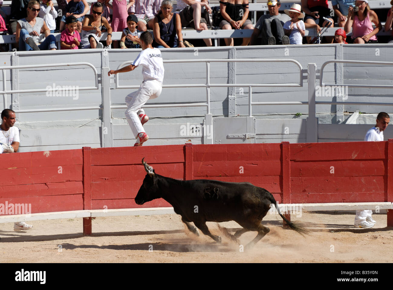 Chasing the bull in the Roman Arena at Arles, France Stock Photo - Alamy