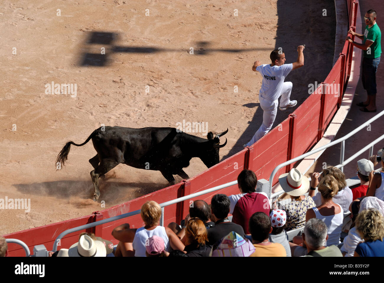Cow chasing hi-res stock photography and images - Alamy