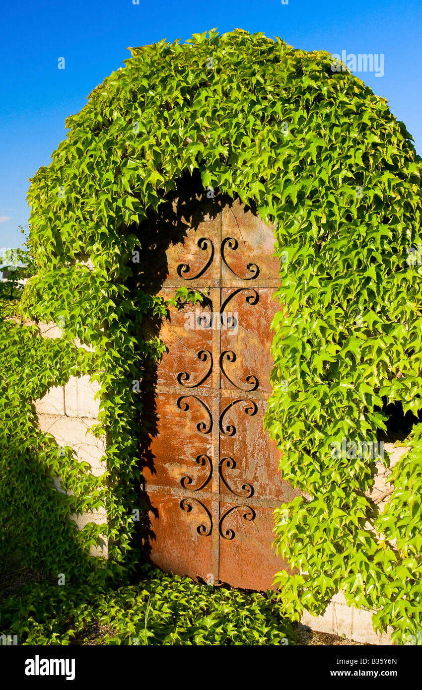 Vine door hi-res stock photography and images - Alamy