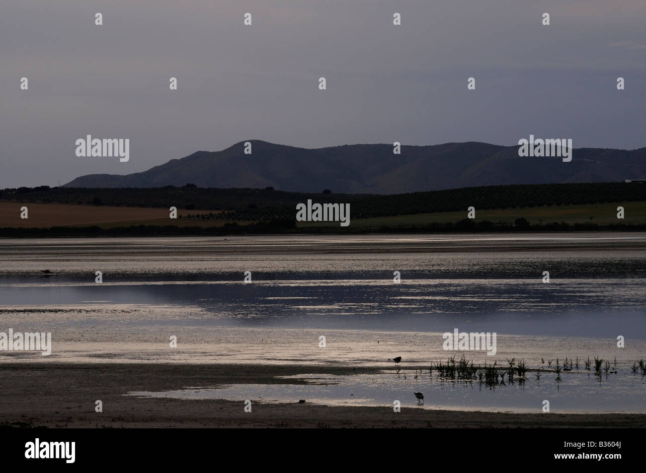 a picture of a landscape Stock Photo - Alamy