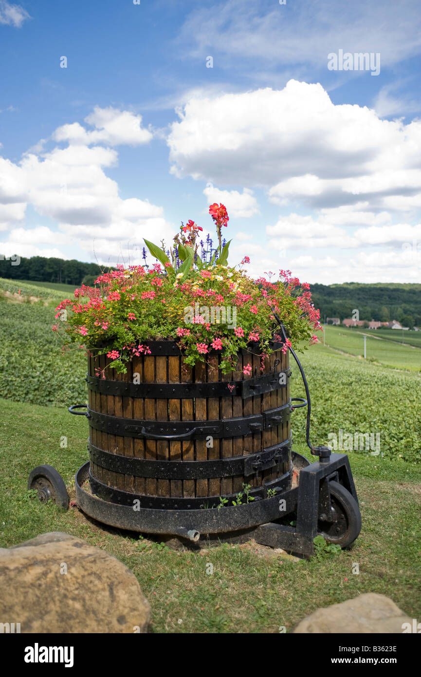 Wine vat flower display hi-res stock photography and images - Alamy