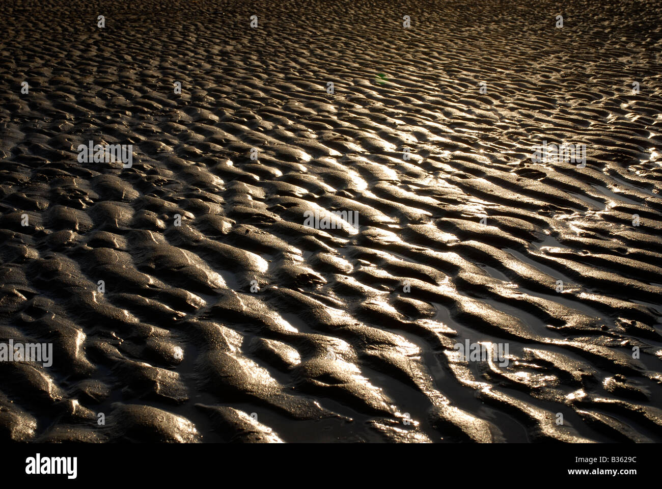 Detail of wet rippled sand on Talacre Beach in North Wales photographed ...