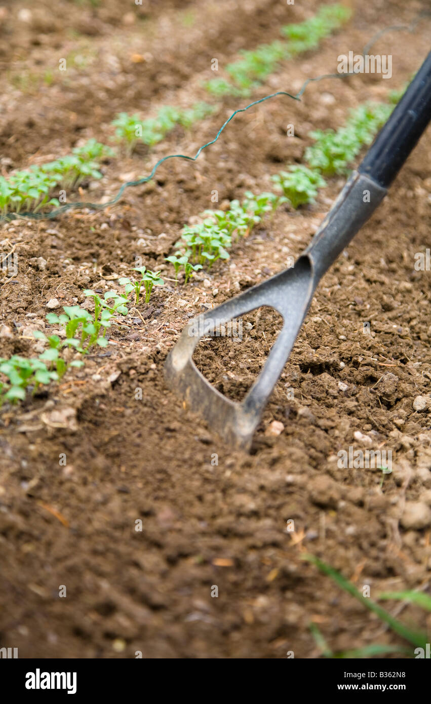 Close up practical soil earth tool hi-res stock photography and images ...