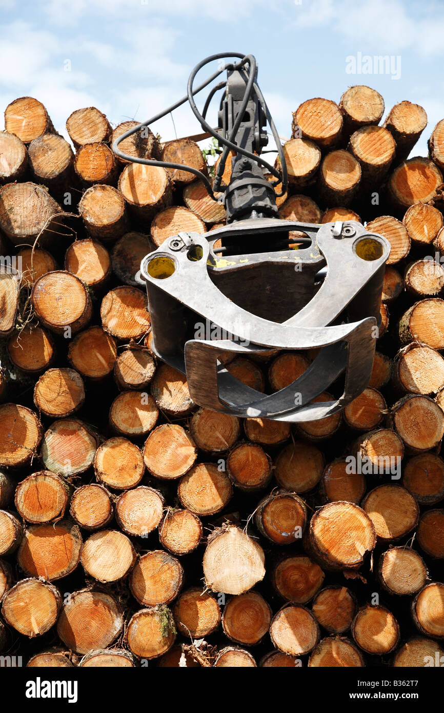 Timber crane hi-res stock photography and images - Alamy