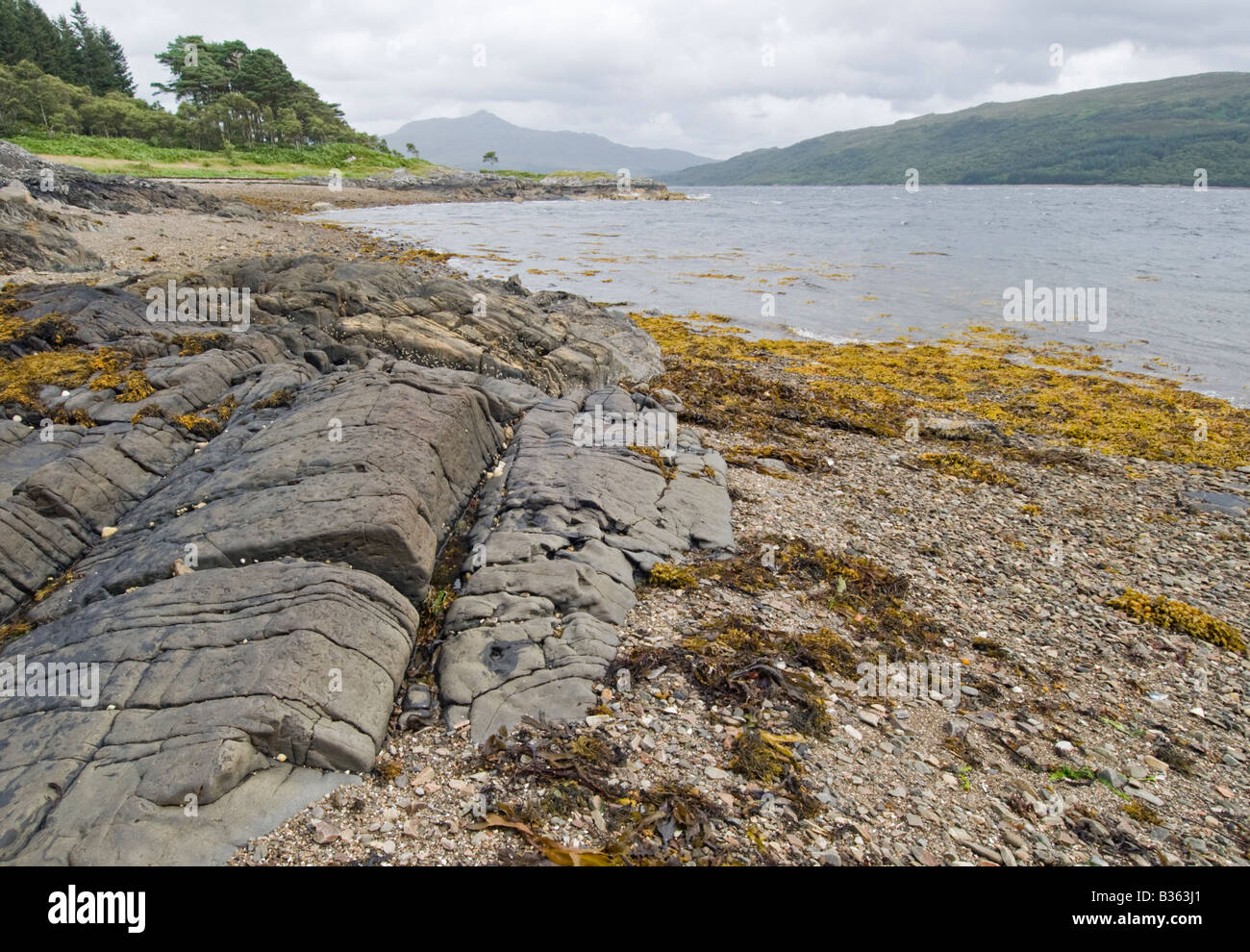Loch Sunart in Scotland Stock Photo - Alamy