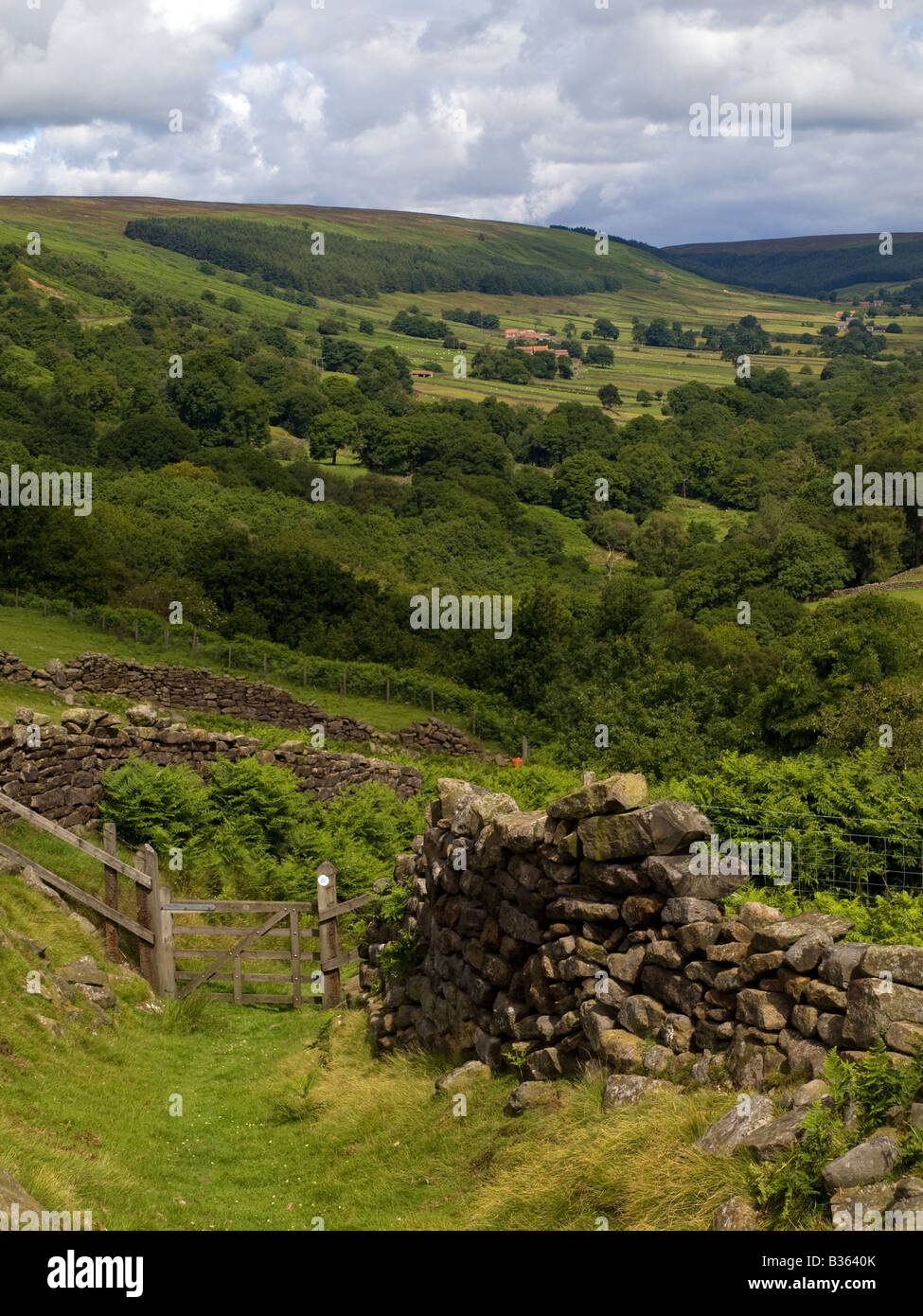 North york moors national park hi-res stock photography and images - Alamy