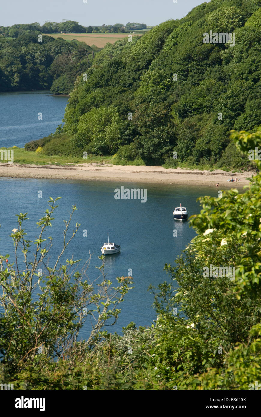 Gillan Creek off the Helford River St Anthony-in-Meneage, Cornwall ...