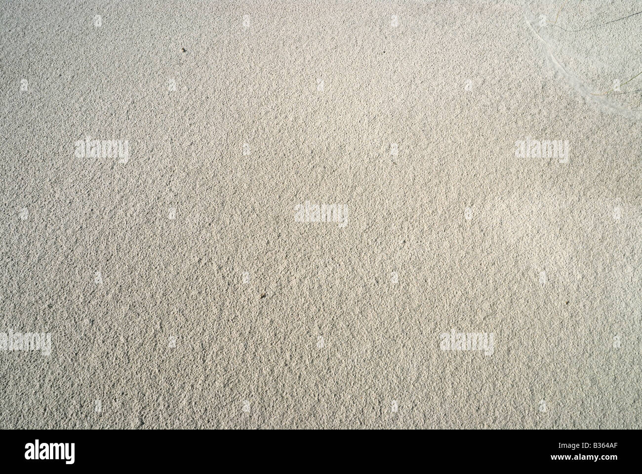 Hard packed dune sand on Anastasia beach Stock Photo - Alamy